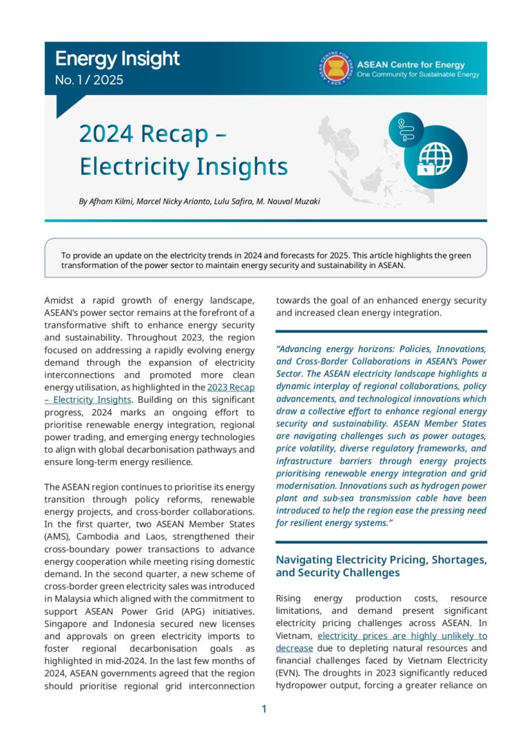 2024 Recap - Electricity Insights - ASEAN Centre for Energy